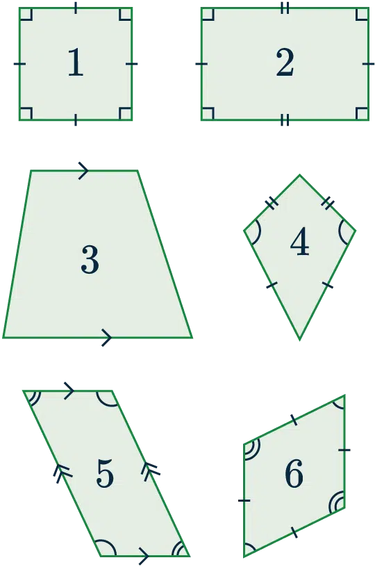 2D Shapes and Quadrilaterals Worksheets | Questions and Revision