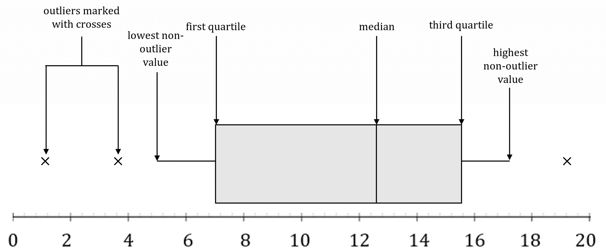 Cumulative Frequency and Boxplots | Revision | MME