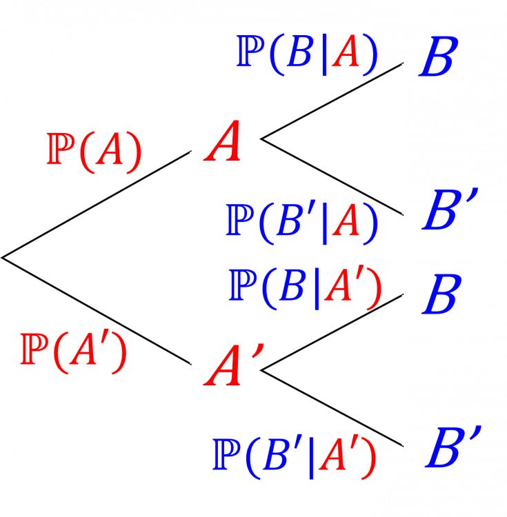 Conditional Probability and Tree Diagrams | Revision | MME