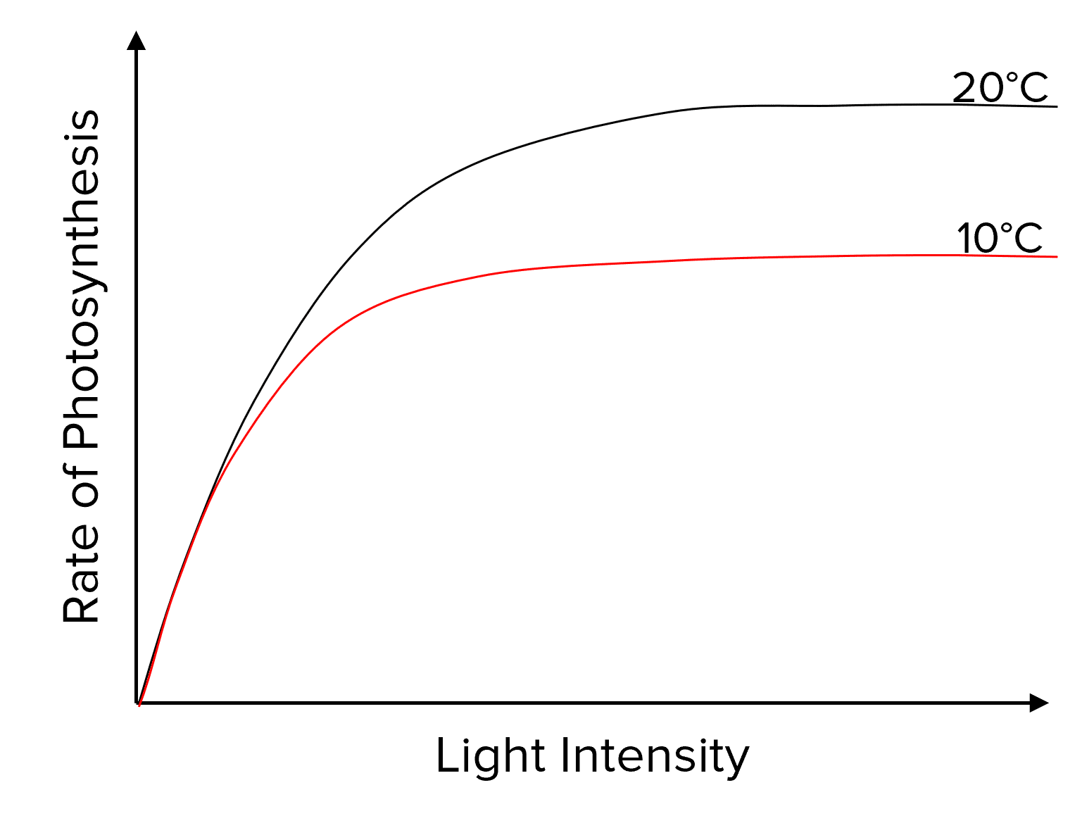 Rate of Photosynthesis Questions and Revision | MME
