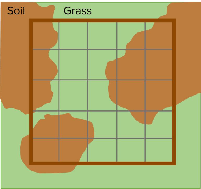 Investigating Ecosystems Questions and Revision | MME