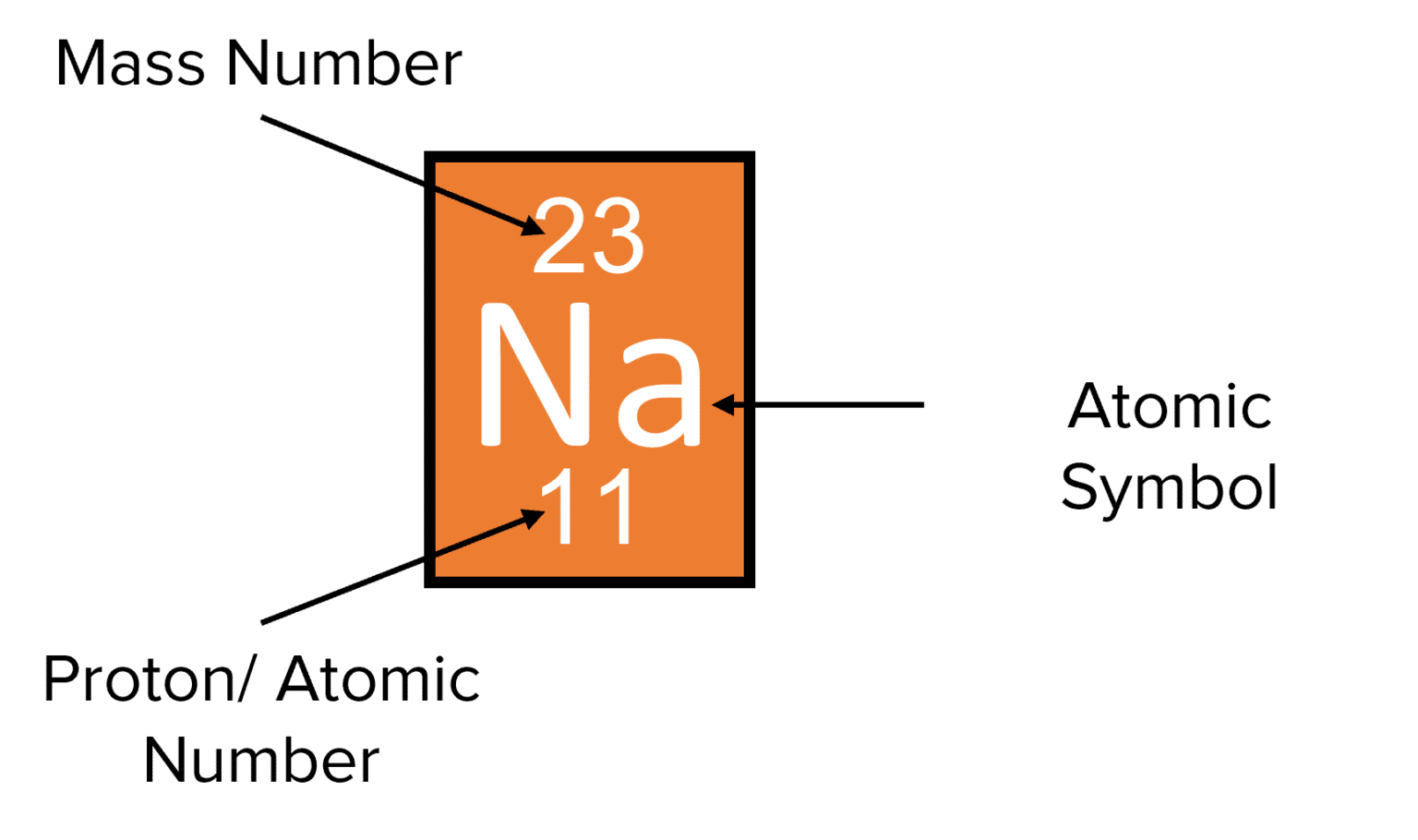 Atoms Questions and Revision | MME