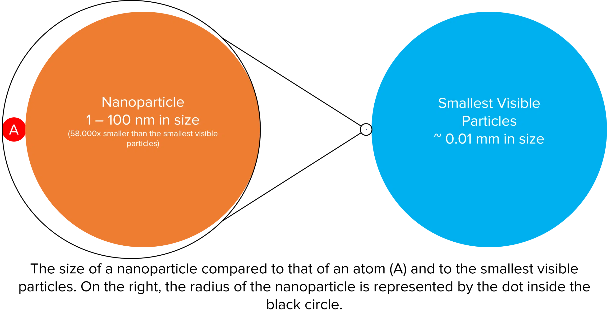 Nanoparticles Questions and Revision | MME
