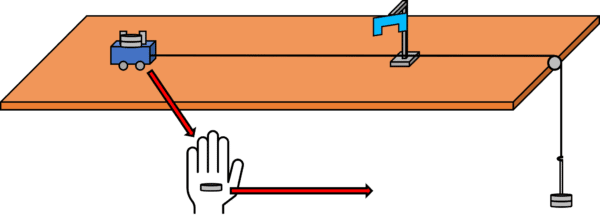 Newton's Laws of Motion Questions and Revision | MME