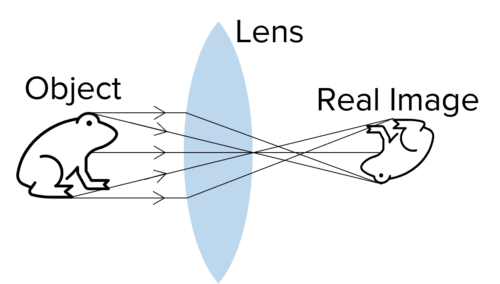 Lenses Worksheets, Questions and Revision | MME