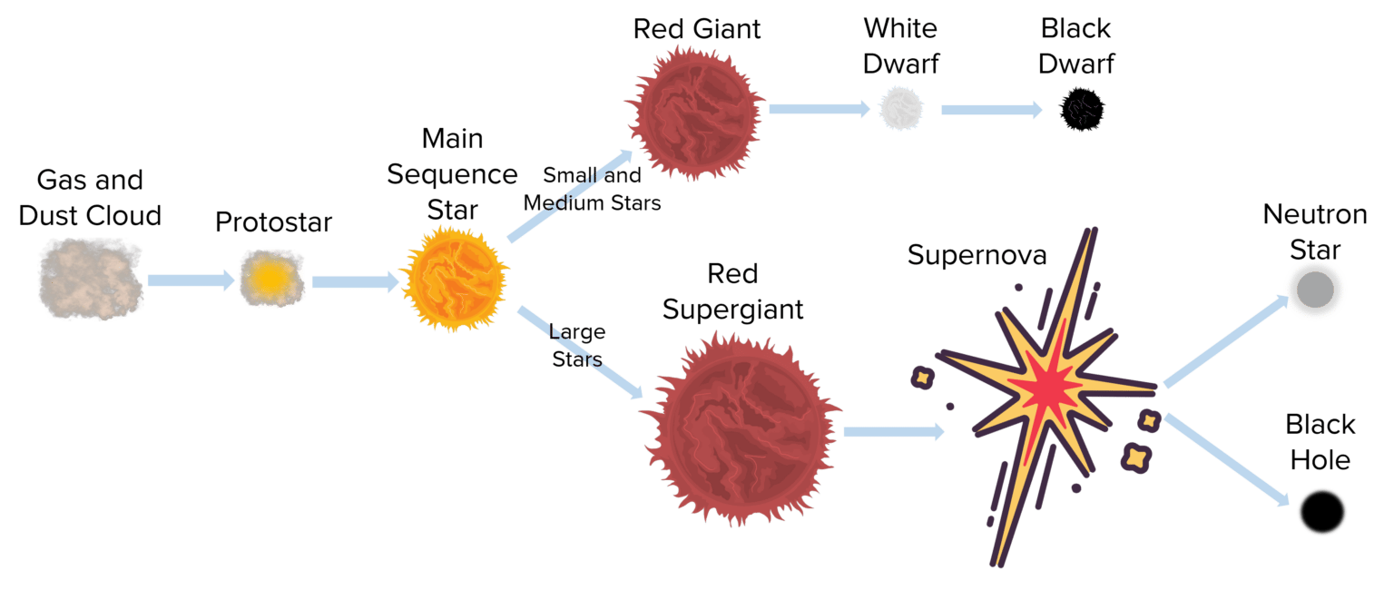 Life Cycle of a Star Worksheets, Questions and Revision | MME