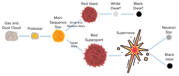 Life Cycle of a Star Worksheets, Questions and Revision | MME