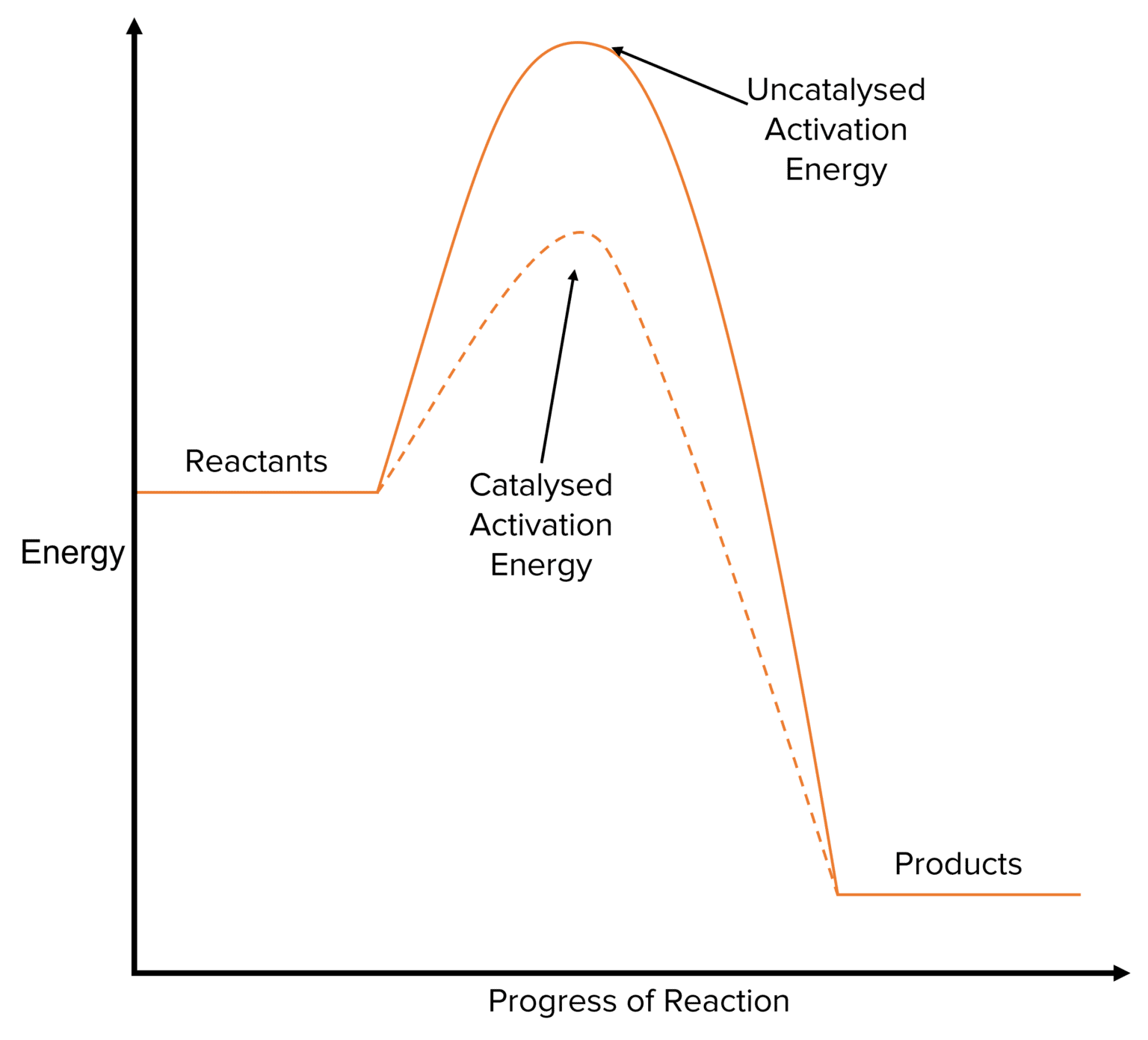 Factors Affecting the Rate of Reaction Revision | MME
