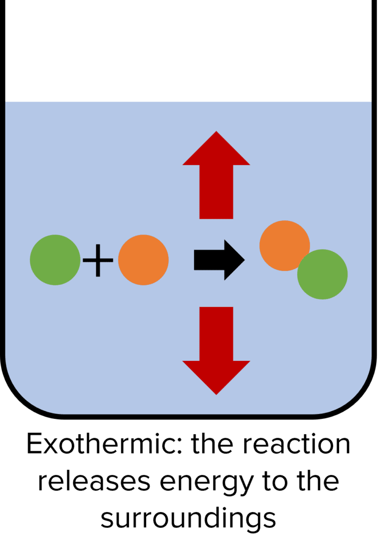 Endothermic and Exothermic Reactions Revision | MME