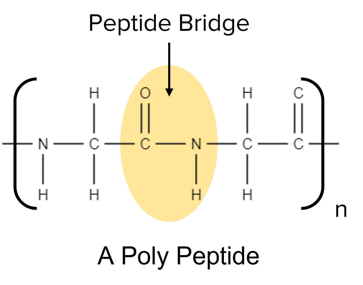 Polymers Questions and Revision | MME