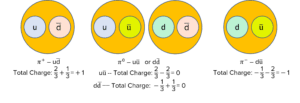 Quarks Questions and Revision | MME