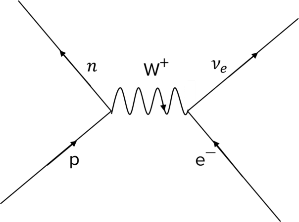 Forces and Exchange Particles | MME