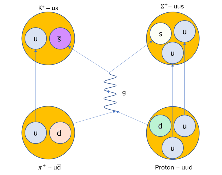 Quarks Questions and Revision | MME