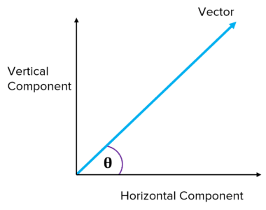 Scalars and Vectors Questions and Revision | MME