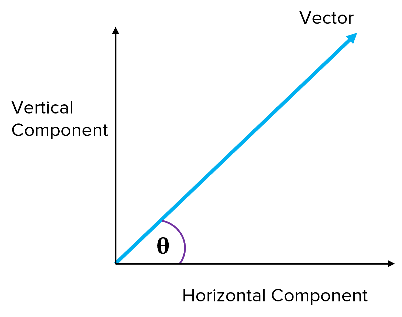 Scalars and Vectors Questions and Revision | MME