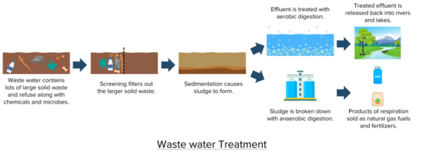 Treatment of Waste Water Questions and Revision | MME