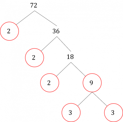Prime Numbers | MME