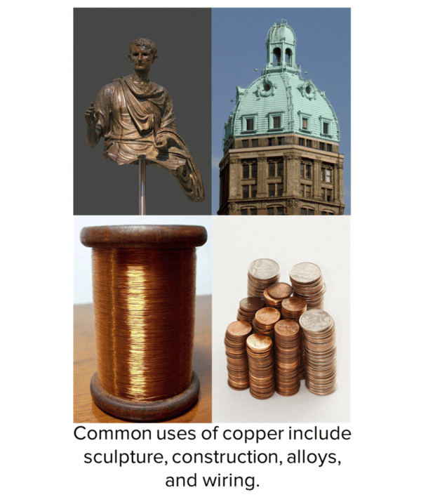 Biological Methods of Extracting Metals Revision | MME
